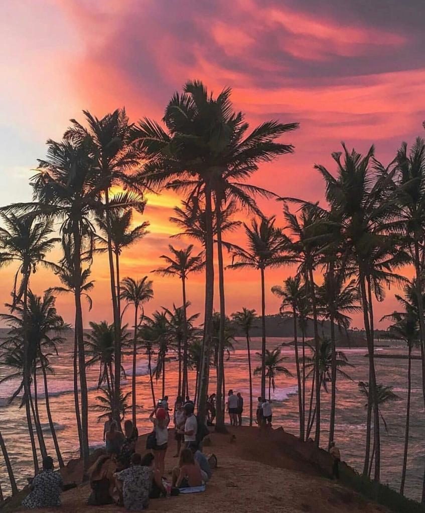 【斯里蘭卡自由行】走訪斯里蘭卡世界遺產 多達16個人氣必食必去景點推介 - 永安旅遊