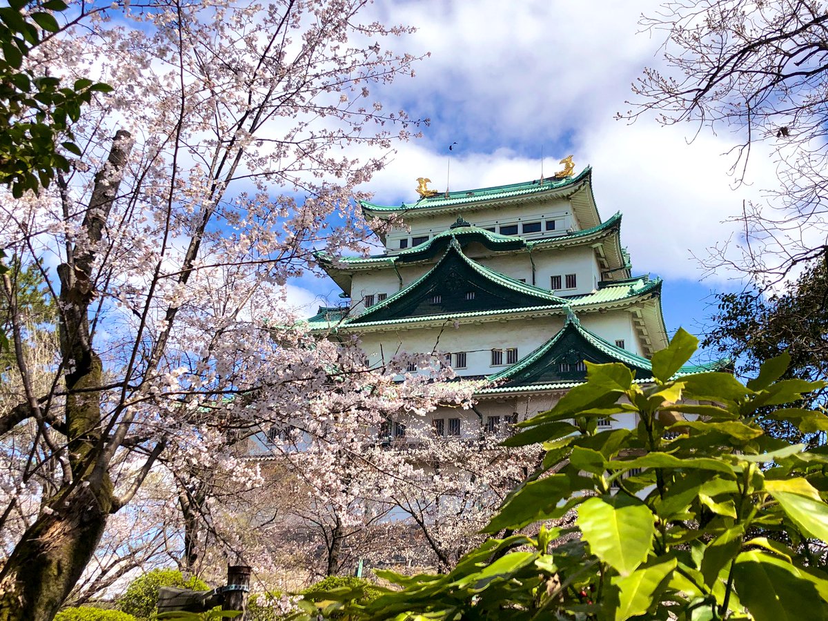 【名古屋景點】2025年10大必去名古屋景點推介 2日1夜乘坐觀光巴士ME GURU完美攻略