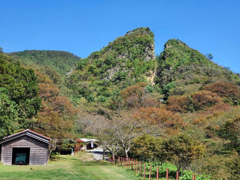 【新潟景點】 2025年8大打卡必去新潟景點推介 動手烤製仙貝、走入森林峽谷拍出仙境美照