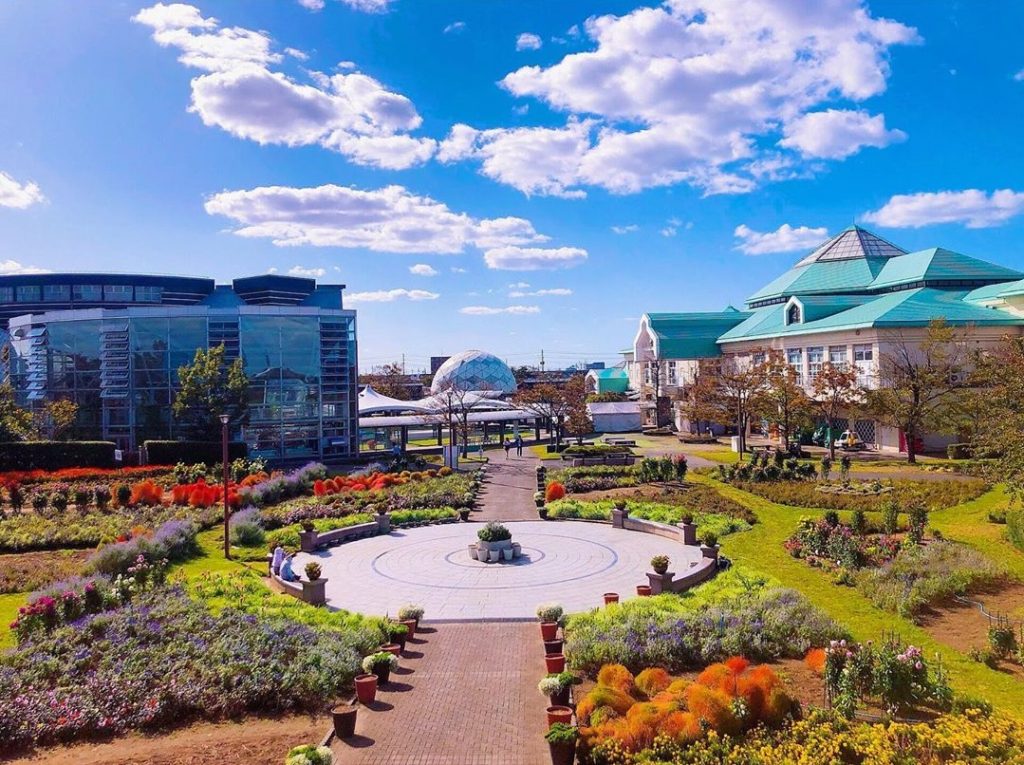 【新潟景點】 2025年8大打卡必去新潟景點推介 動手烤製仙貝、走入森林峽谷拍出仙境美照