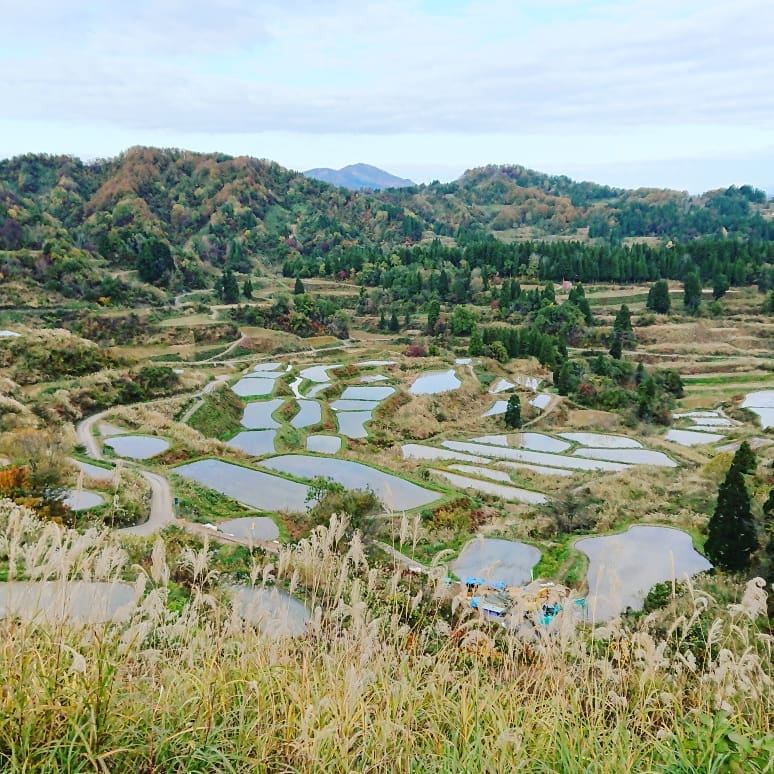 【新潟景點】 2025年8大打卡必去新潟景點推介 動手烤製仙貝、走入森林峽谷拍出仙境美照