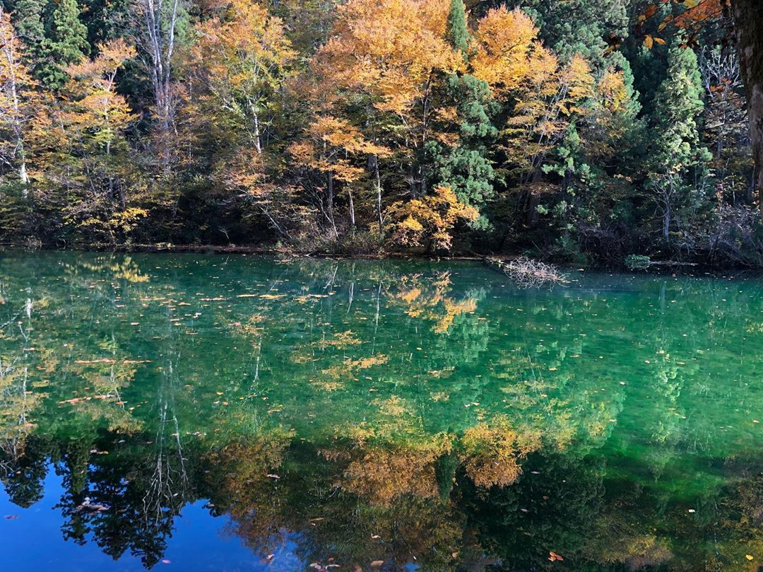 【新潟景點】 2025年8大打卡必去新潟景點推介 動手烤製仙貝、走入森林峽谷拍出仙境美照
